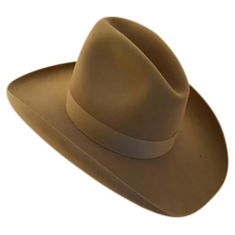 Vintage "Ten Gallon" Cowboy Hat | Chairish
