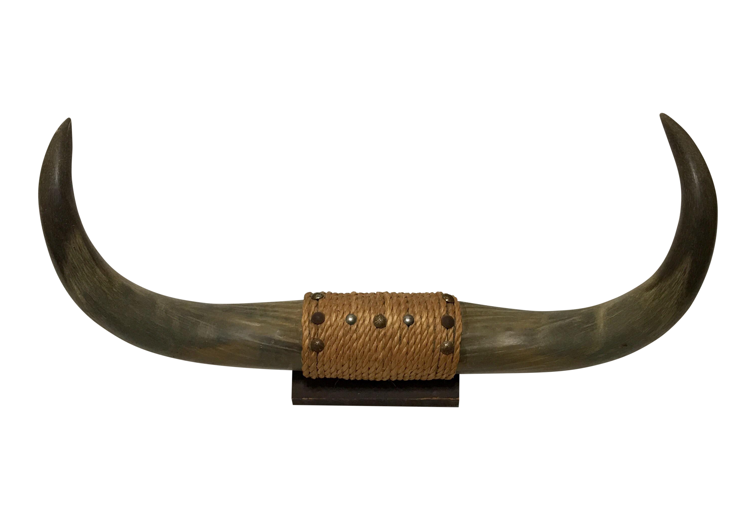 1950's Mounted Bull Horns | Chairish