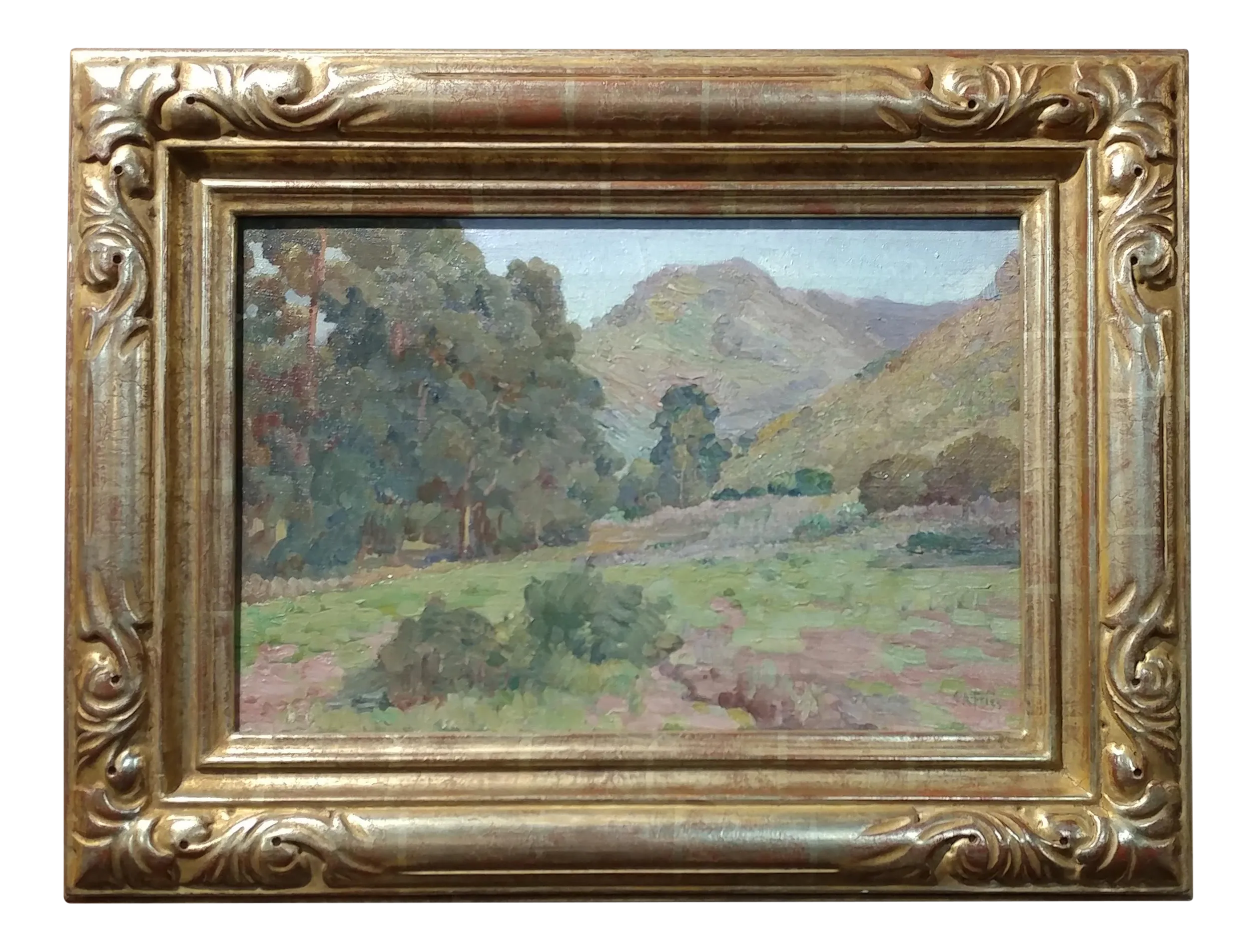 Charles Fries Eucalyptus Among the Hills Oil Painting | Chairish