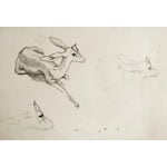 George Baer Gazelle Pencil Study Drawing | Chairish