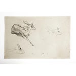 George Baer Gazelle Pencil Study Drawing | Chairish
