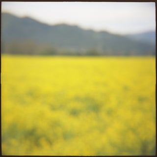 Vintage & Used Photography | Chairish