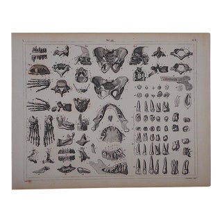 Vintage & Used Victorian Furniture & Decor | Chairish