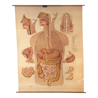 Vintage & Used Posters | Chairish