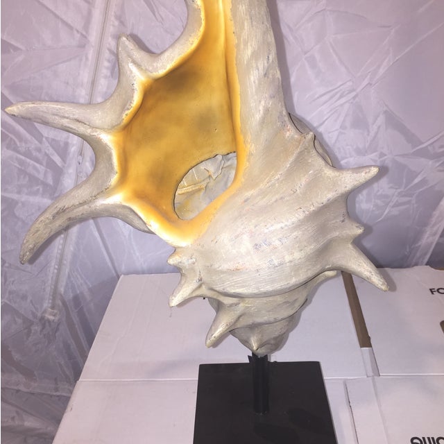 Hand Painted Conch Shell Sculpture on Stand | Chairish