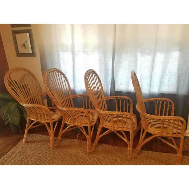 Bentwood Rattan Dining Chairs Set Of 4 Chairish