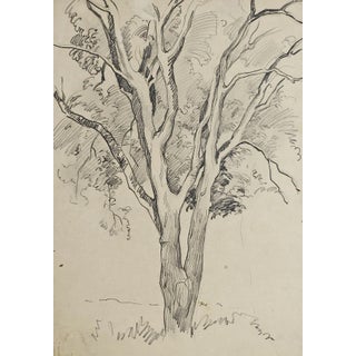 Vintage & Used Drawings | Chairish