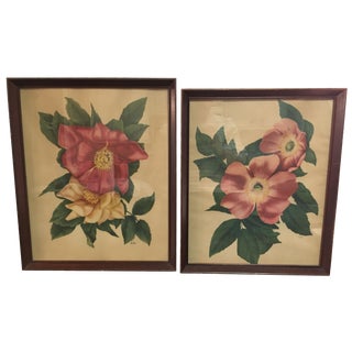 Vintage & Used Posters | Chairish