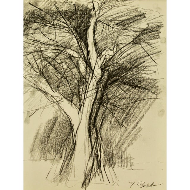 "Tree in Winter" Drawing | Chairish