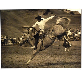 Vintage & Used Photography | Chairish